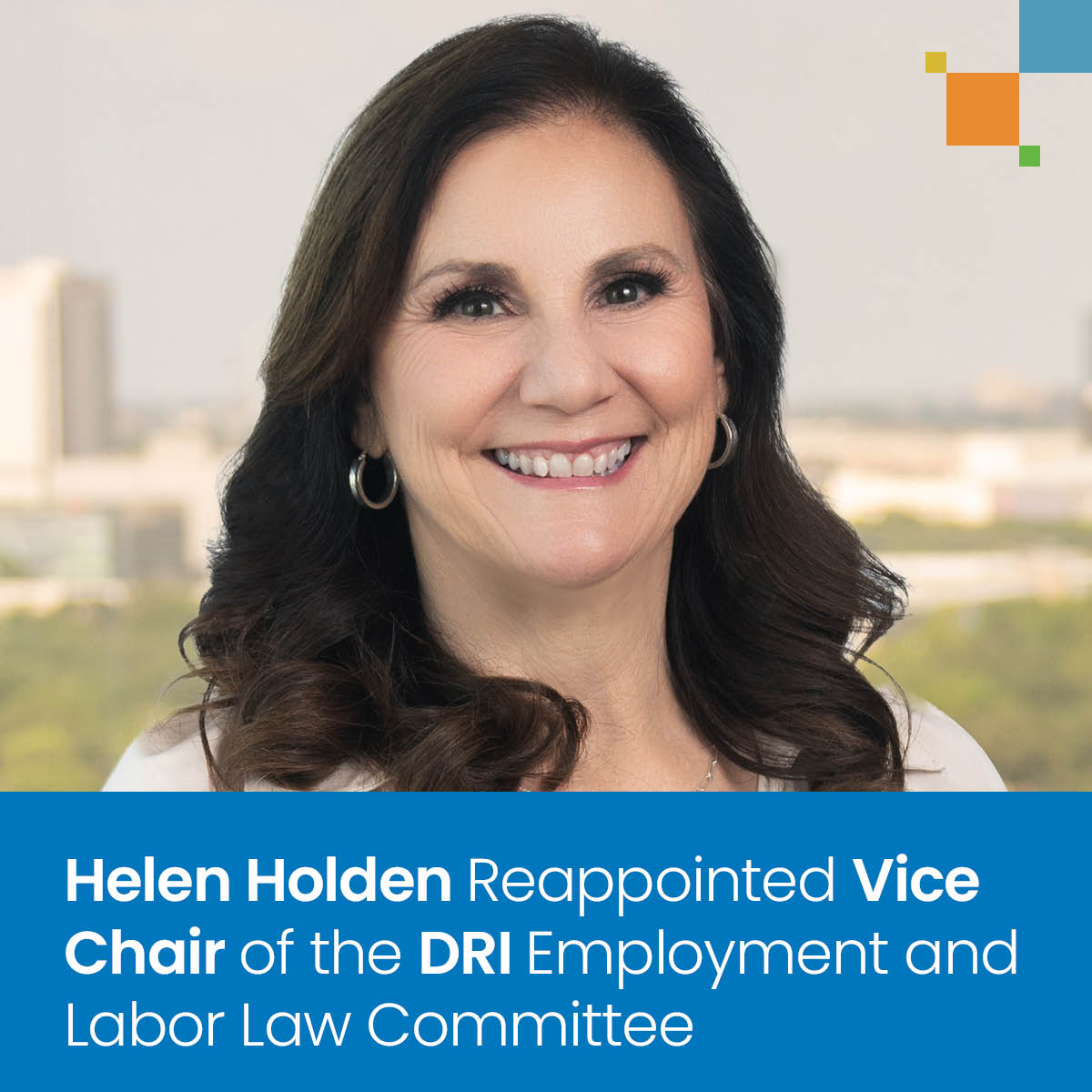 Helen Holden Reappointed Vice Chair of the DRI Employment and Labor Law ...