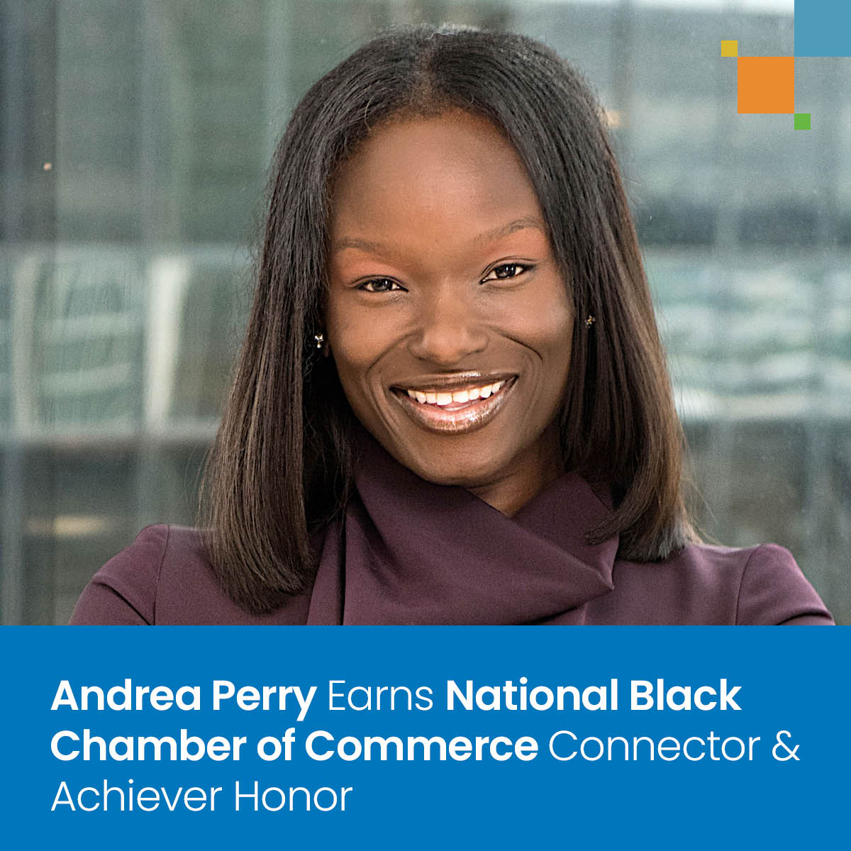 Andrea Perry Earns Nashville Black Chamber of Commerce Connector ...