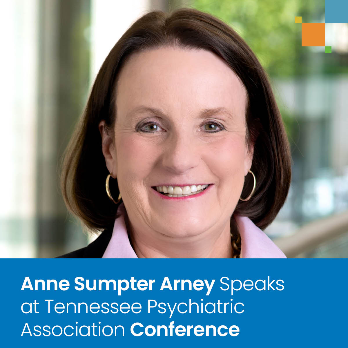 Anne Sumpter Arney Speaks at Tennessee Psychiatric Association Conference - Spencer Fane