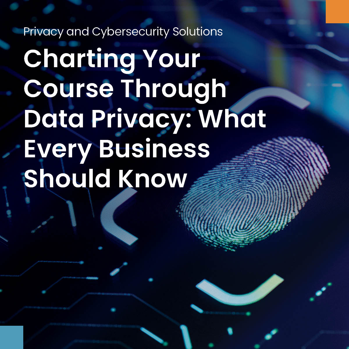 Charting Your Course Through Data Privacy: What Every Business Should Know - Spencer Fane