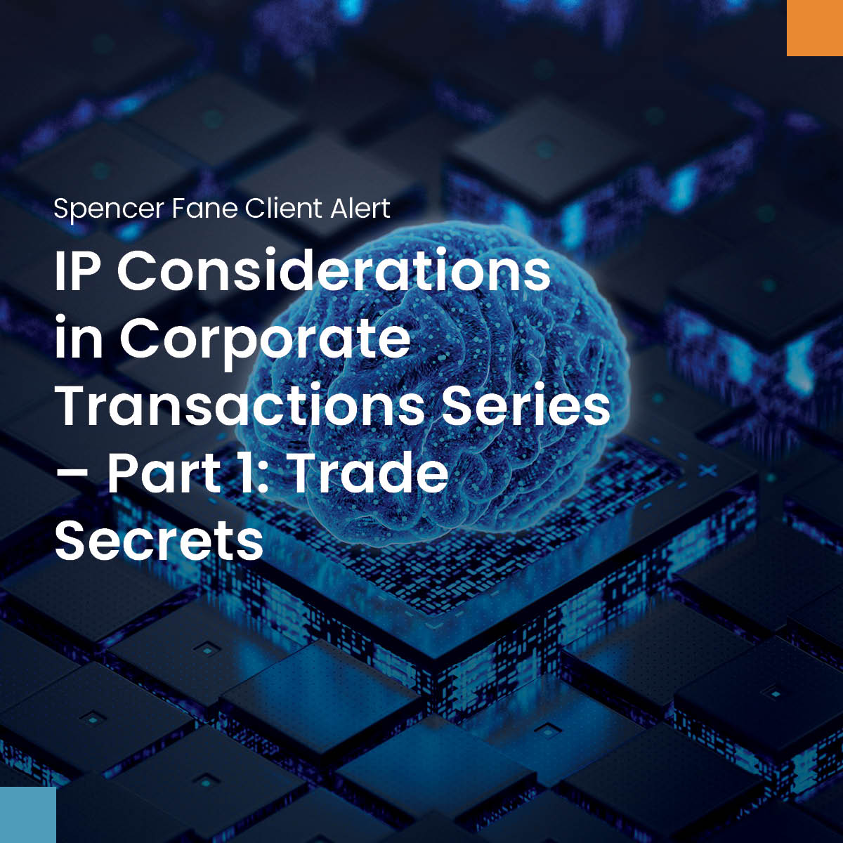 IP Considerations in Corporate Transactions Series – Part 1: Trade ...