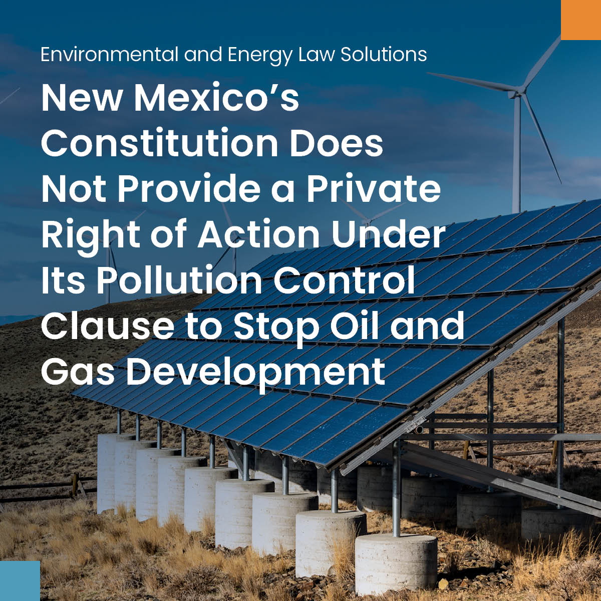 New Mexico’s Constitution Does Not Provide a Private Right of Action ...