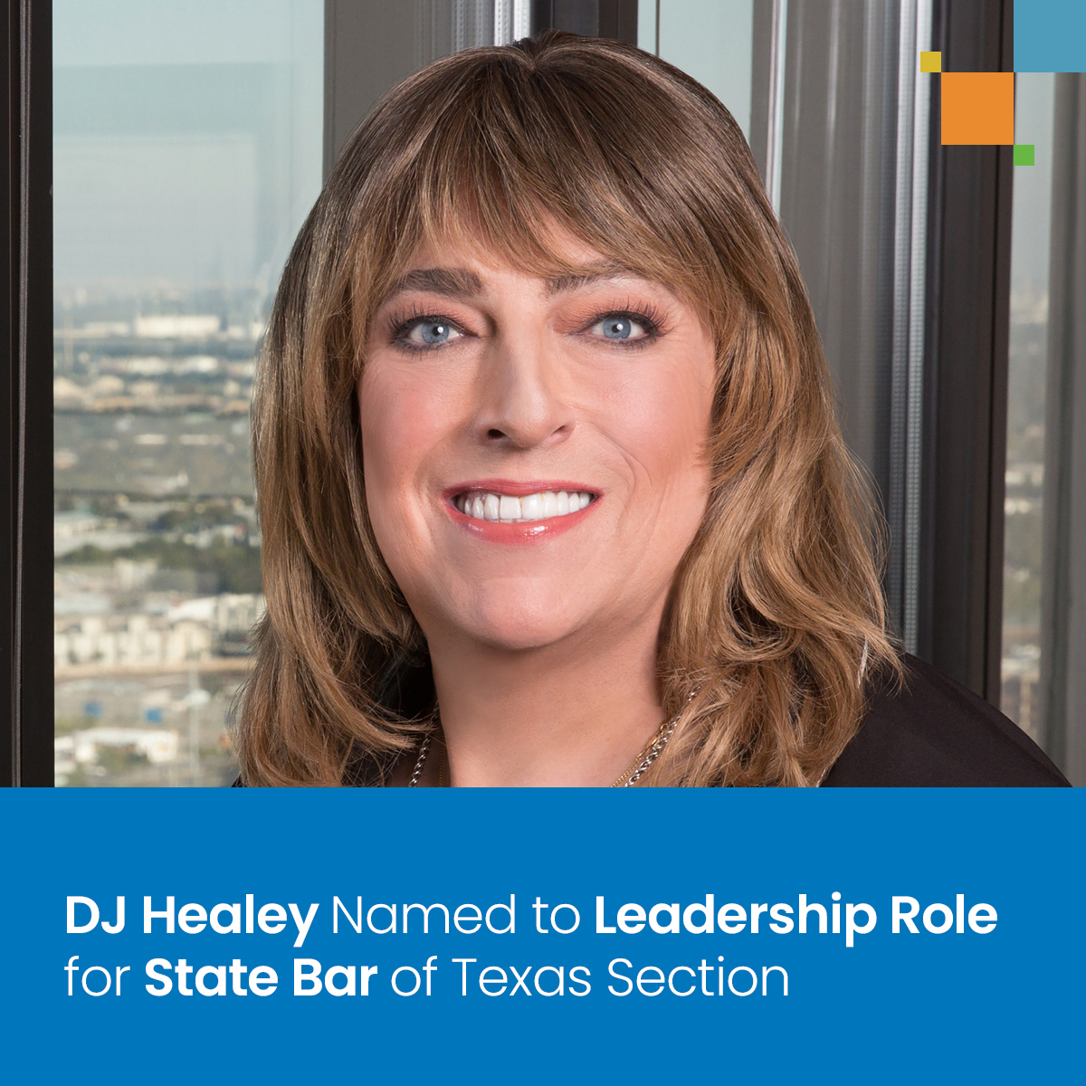 DJ Healey Named to Leadership Role for State Bar of Texas Section ...